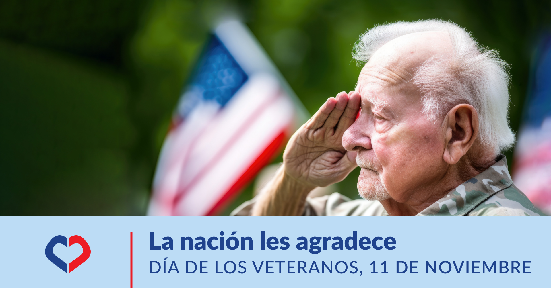 Día de los veteranos